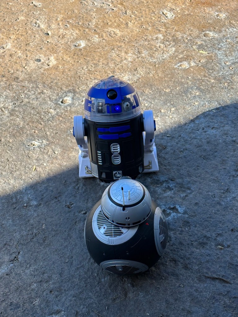 Disneyland - CA - Strip Walking