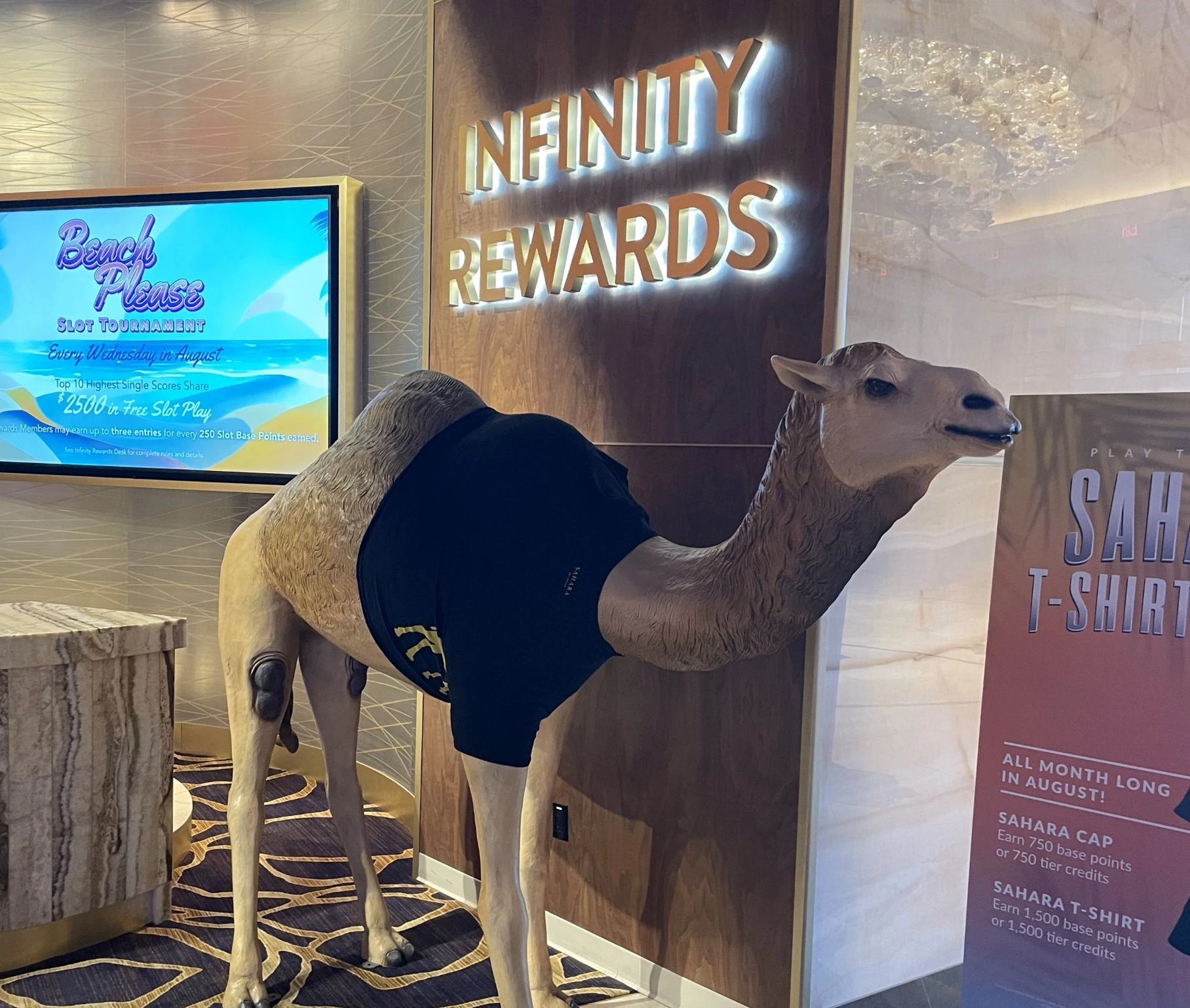 August 2023 Vegas Trip Recap - Part 2: Infinity Ends Where The Internet Begins - Strip Walking